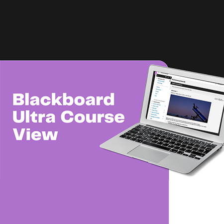Blackboard Learn - Center for Teaching Excellence | University of South ...