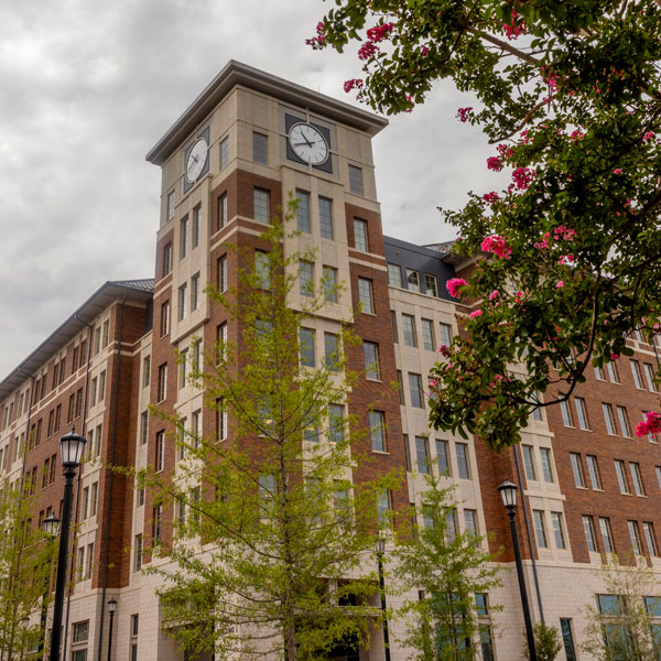 University of South Carolina | University of South Carolina